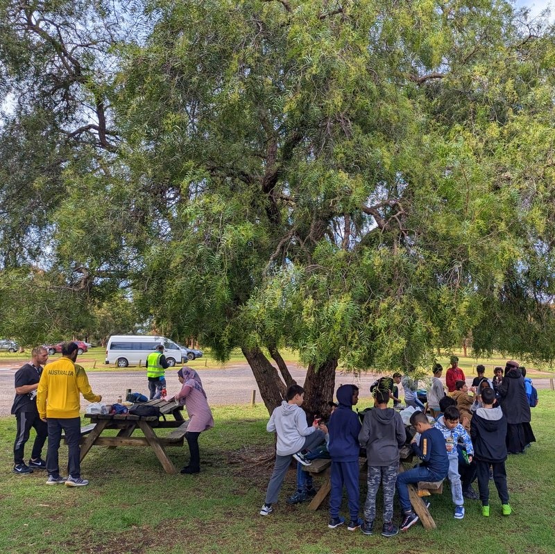 Year 4 Camp Angahook 2024 photos from Al Siraat College