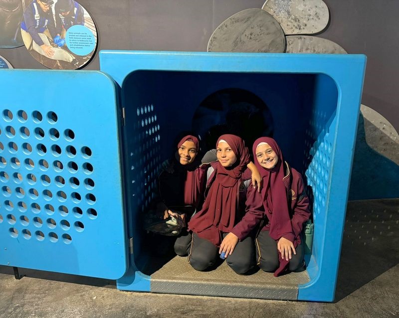 Year 5 Excursion to Melbourne Zoo photos from Al Siraat College